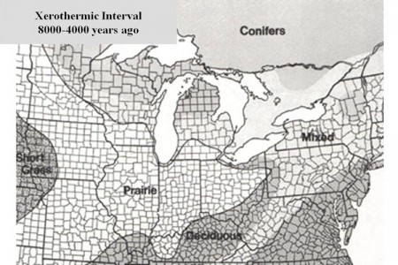 Prairie – Ohio Plants